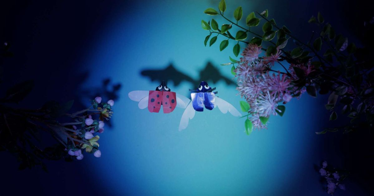 Api e Fiori - Stagione 1 | TIMVISION